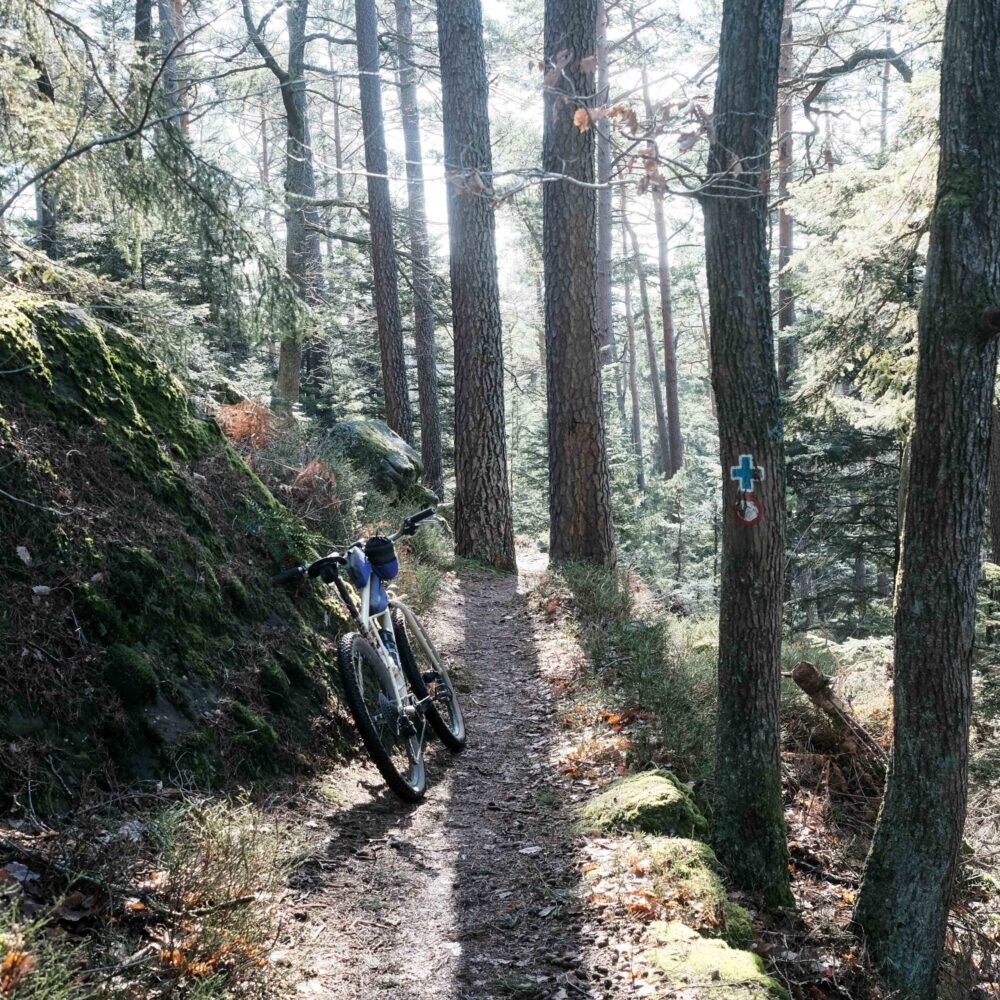 MANIVELLE PARTENAIRE DU TMV - Interview de Pascal Chabanse - Cycles ...